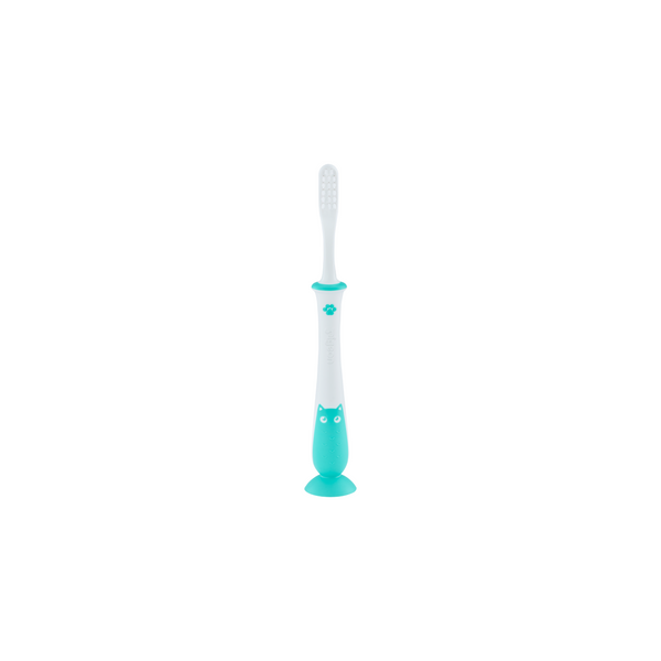 Pigeon Training Toothbrush Step 4 - Mint | Toddler Toothbrush – Pigeon ...