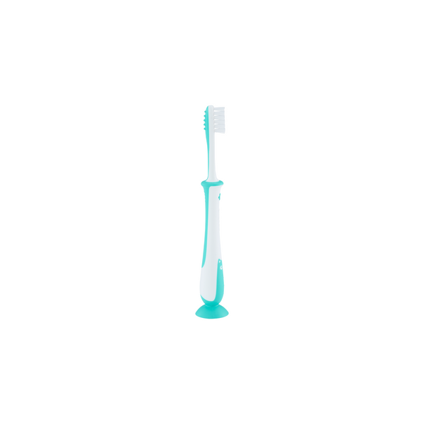 Pigeon Training Toothbrush Step 4 - Mint | Toddler Toothbrush – Pigeon ...